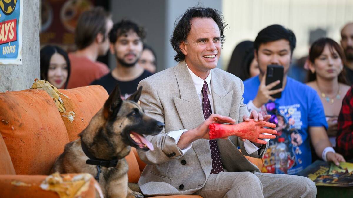 Walton Goggins and Fallout 2 stars kick off global tour | Narooma News ...
